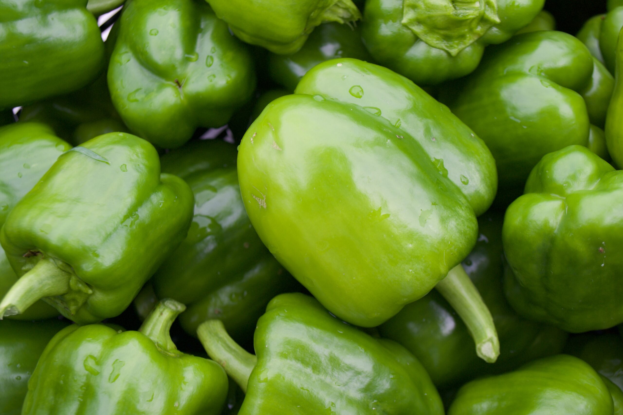 How to Ripen Winter Squash, Peppers & Tomatoes at the End of the Season ...